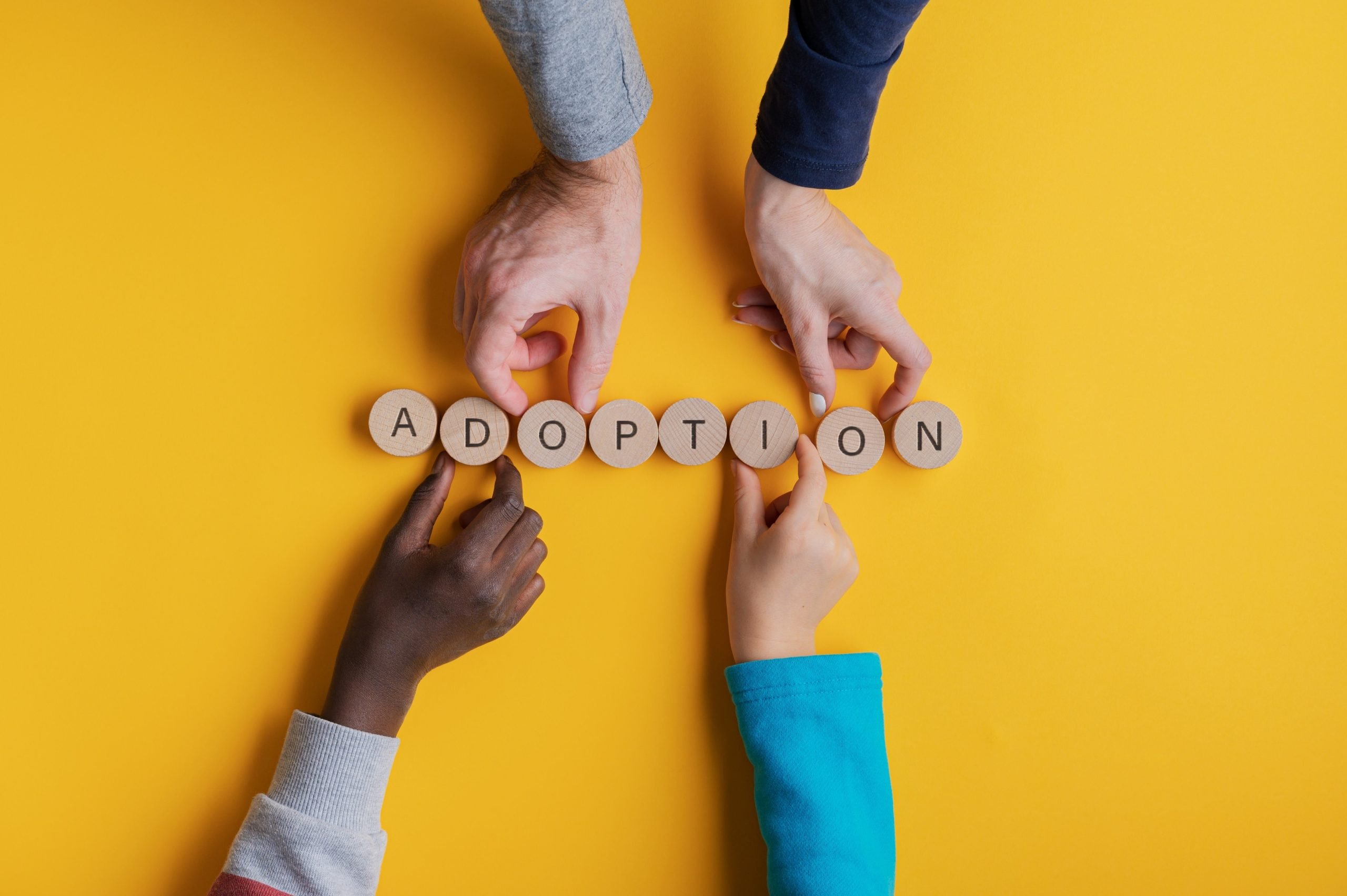 Adoption is incredible!