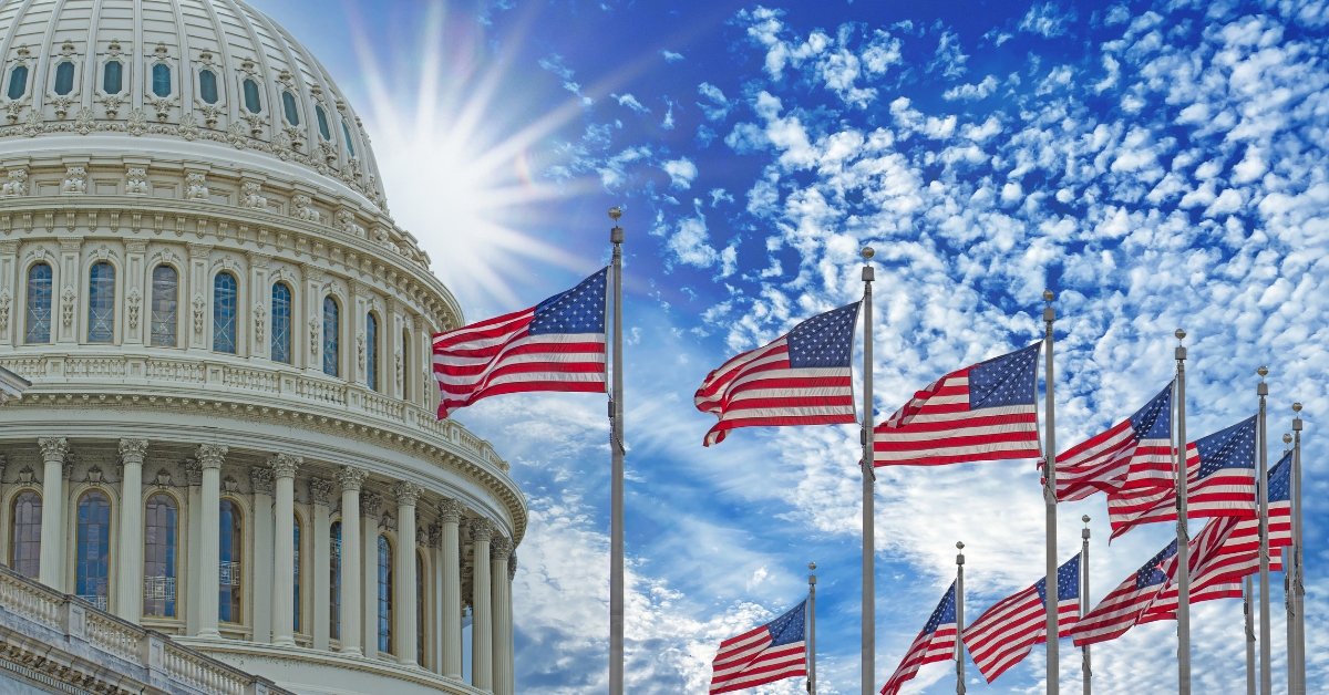 Unveiling the Secrets of Election 2024: Inside the Record Spending ...